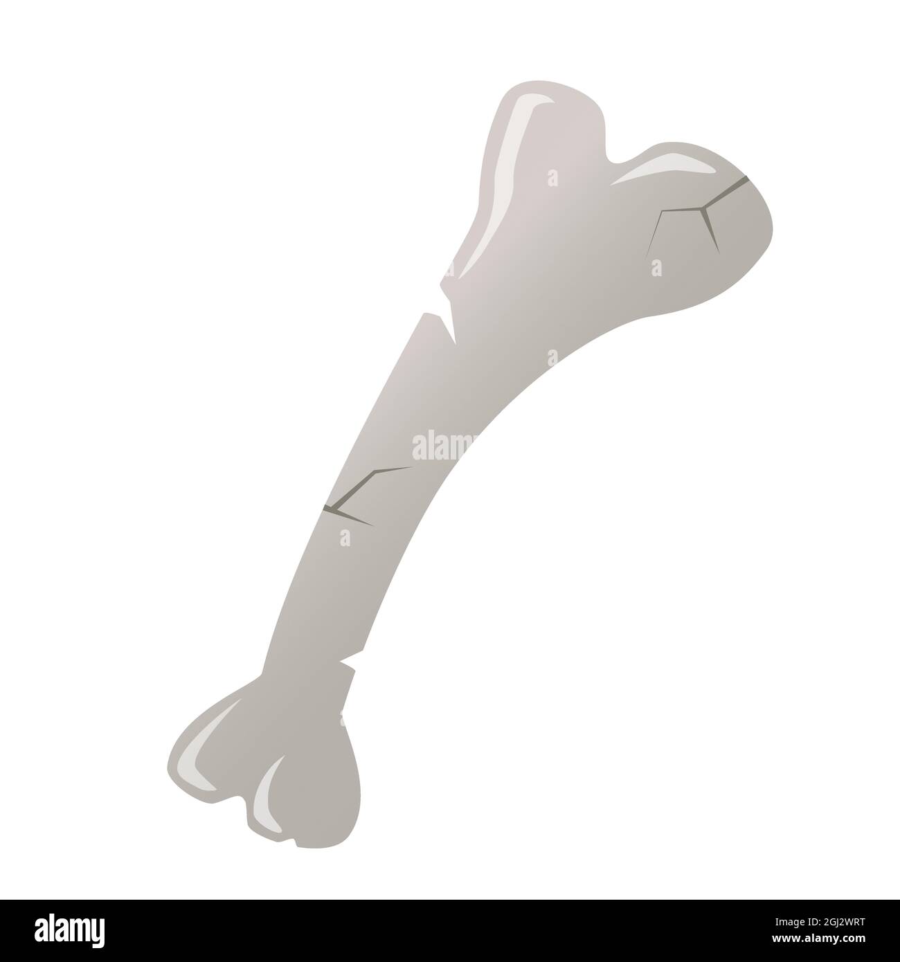 Cracked bone - creative, modern cartoon style object. Illustration on ...