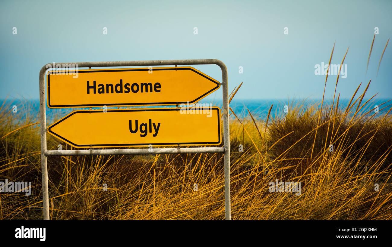 Street Sign the Direction Way to Handsome versus Ugly Stock Photo - Alamy
