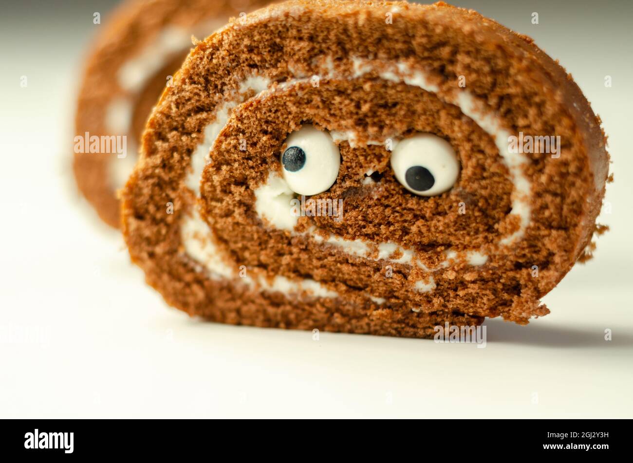 Chocolate sponge roll with a vanilla flavour filling with decorating ...