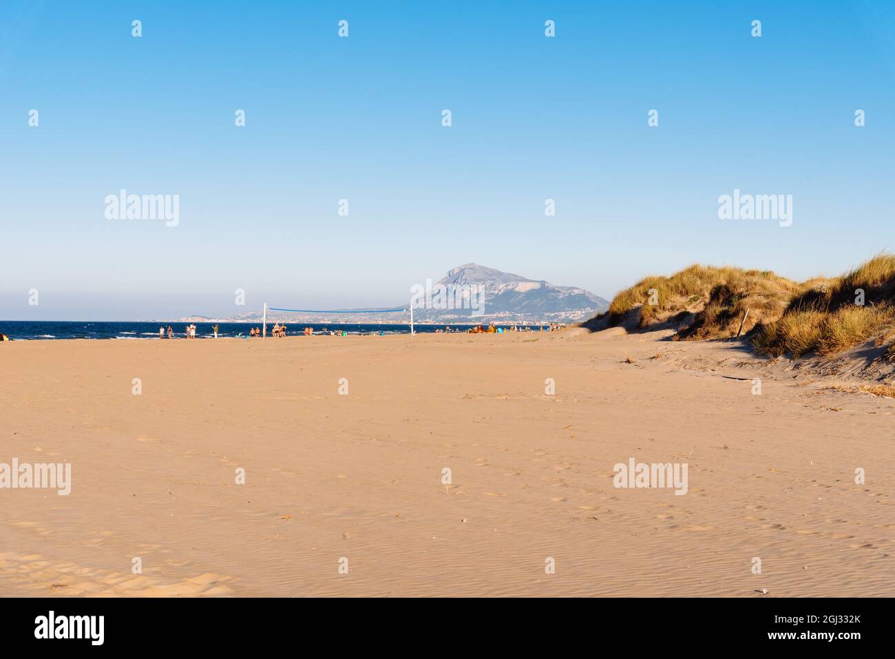 Oliva valencia hi-res stock photography and images - Alamy