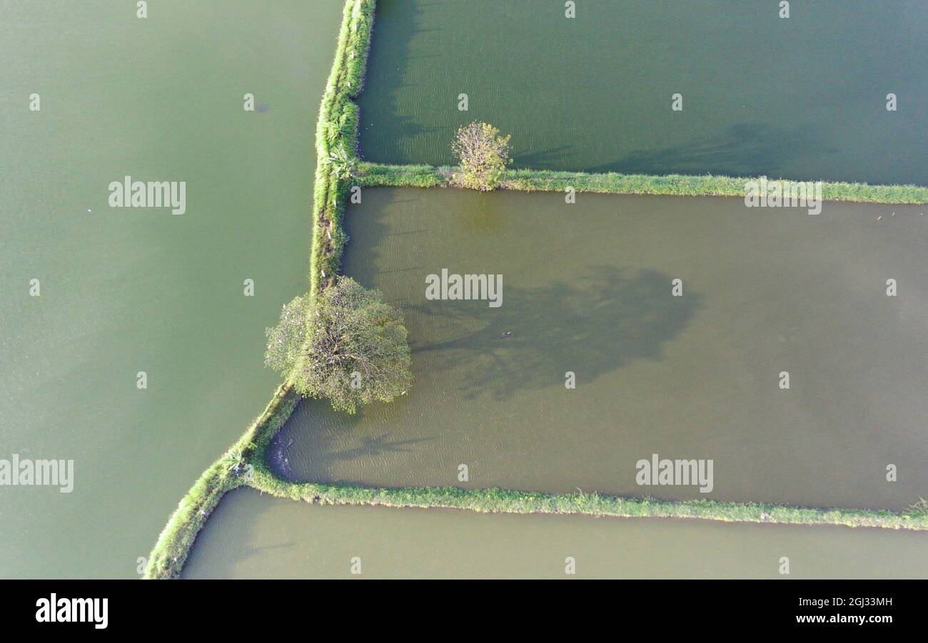 Aerial view of a fishponds paddocks in the countryside Stock Photo - Alamy