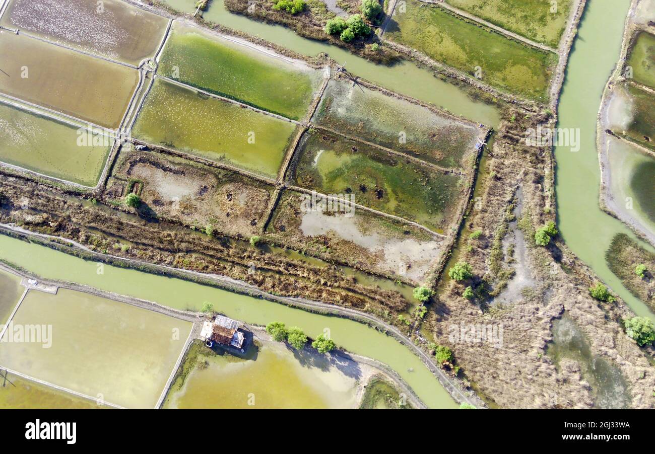 Aerial view of fishponds paddocks in the countryside Stock Photo - Alamy