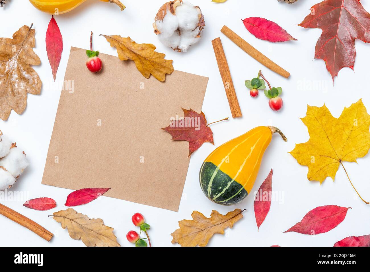Craft paper blank frame and autumn leaves, cotton, pumpkin, cinnamon ...