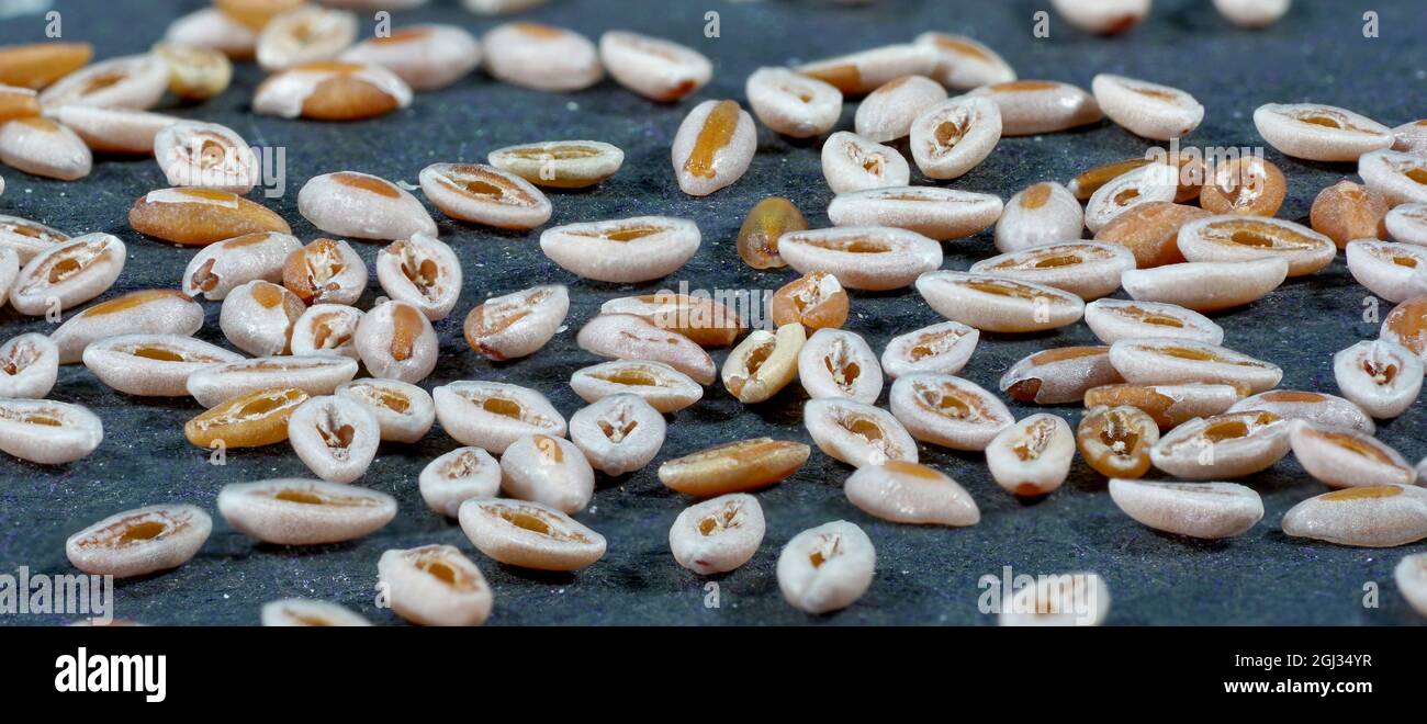 Bunch of nuts on the blue table Stock Photo - Alamy