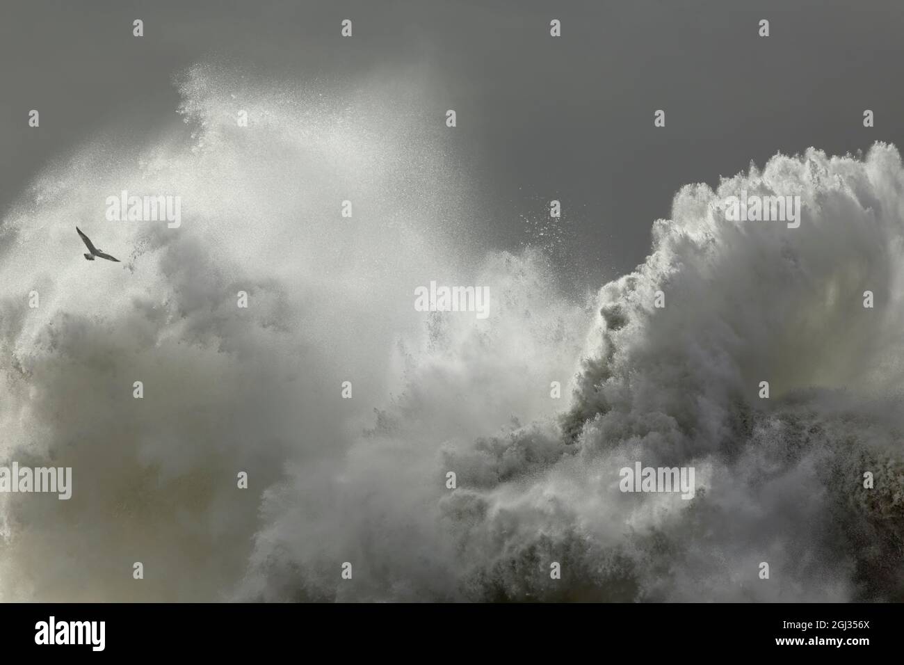Huge stormy sea wave splash Stock Photo - Alamy