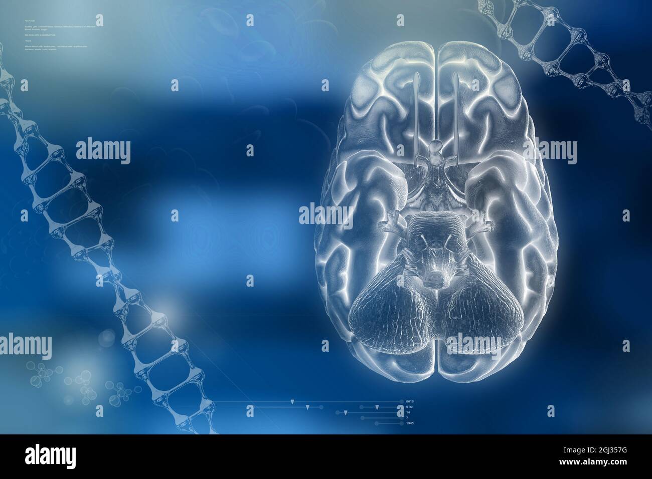 Medical 3D illustration - human brain, neuron network analysis concept ...