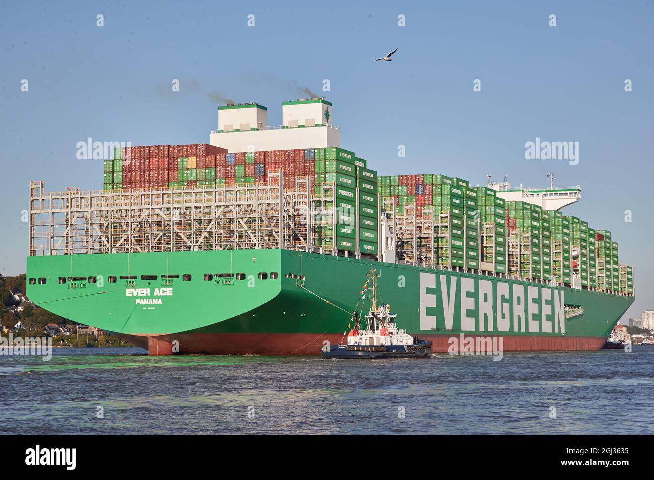 Hamburg, Germany. 08th Sep, 2021. The "Ever Ace", one of the largest ...