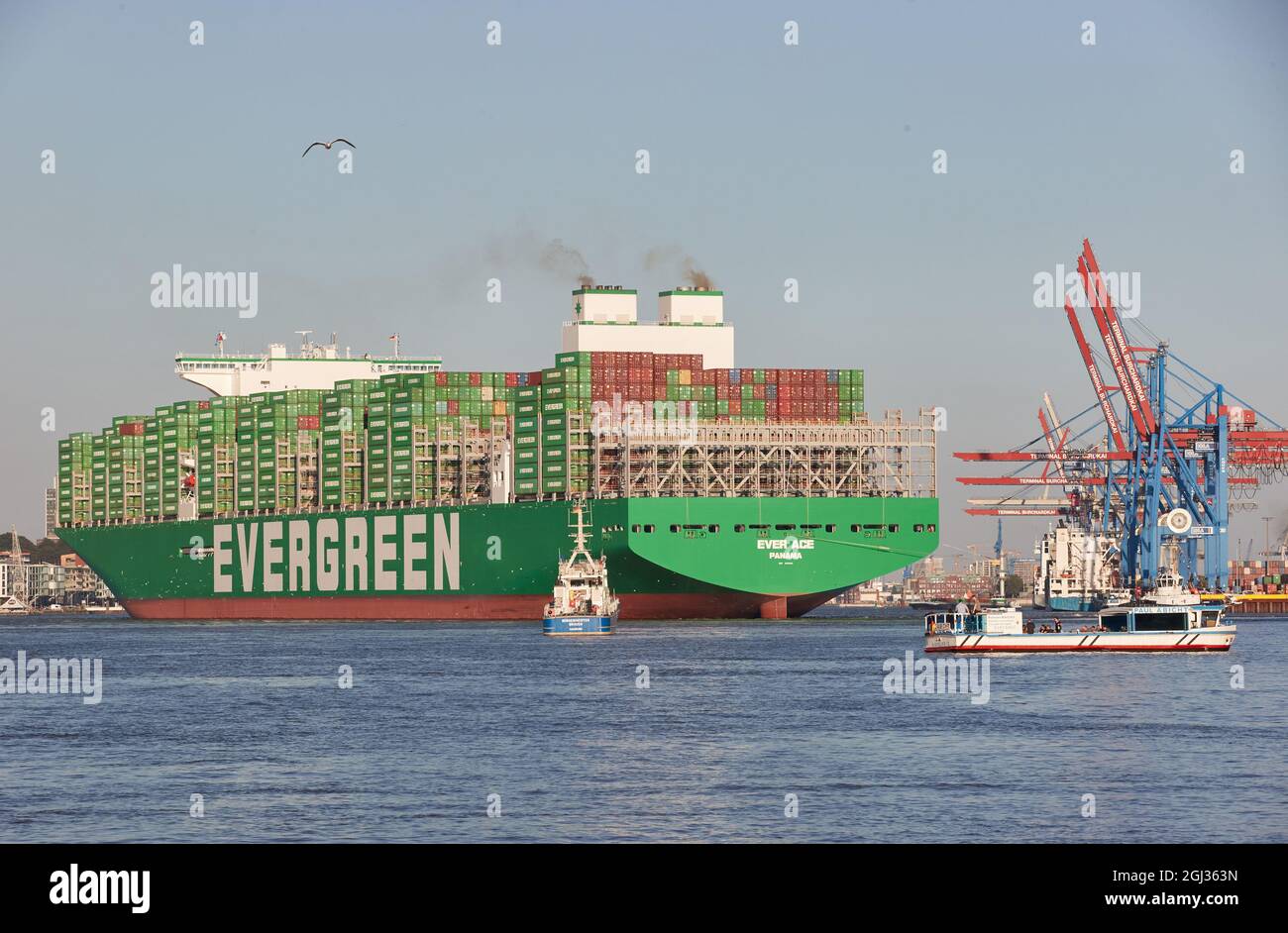 Hamburg, Germany. 08th Sep, 2021. The "Ever Ace", one of the largest ...