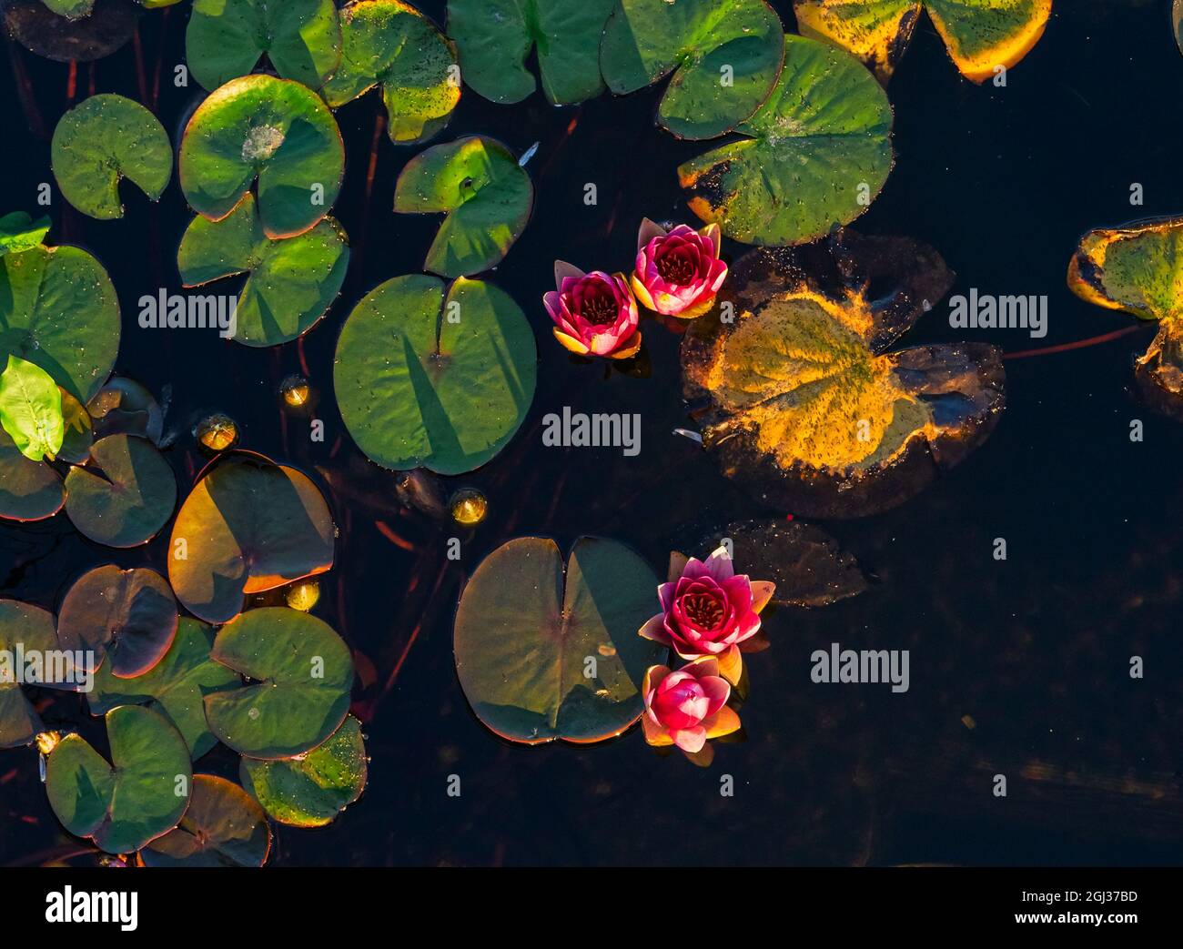 Blowing up pool hi-res stock photography and images - Alamy
