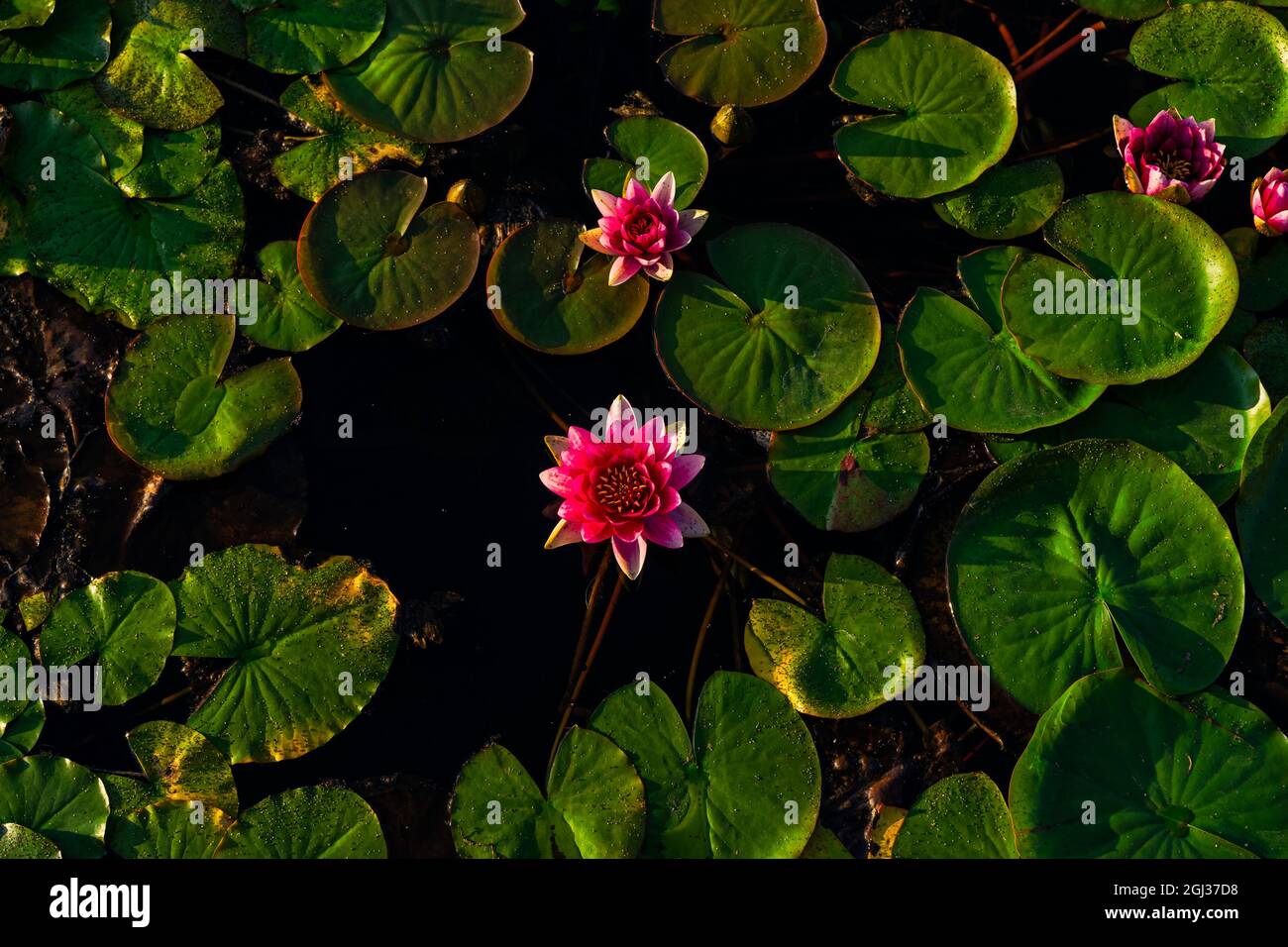 Blowing up pool hi-res stock photography and images - Alamy