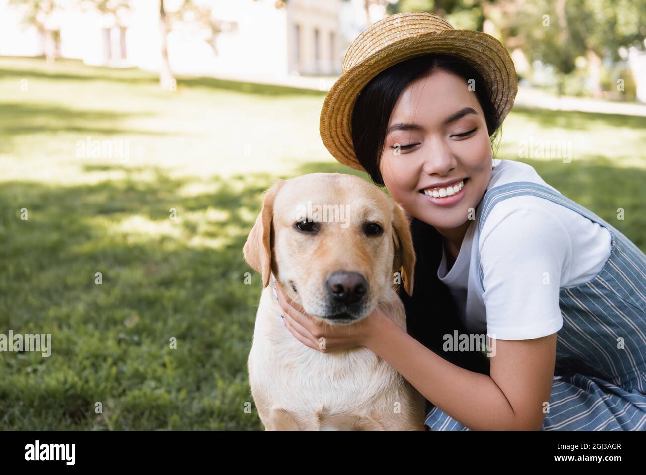Yellow labrador dog eyes closed hi-res stock photography and images - Alamy