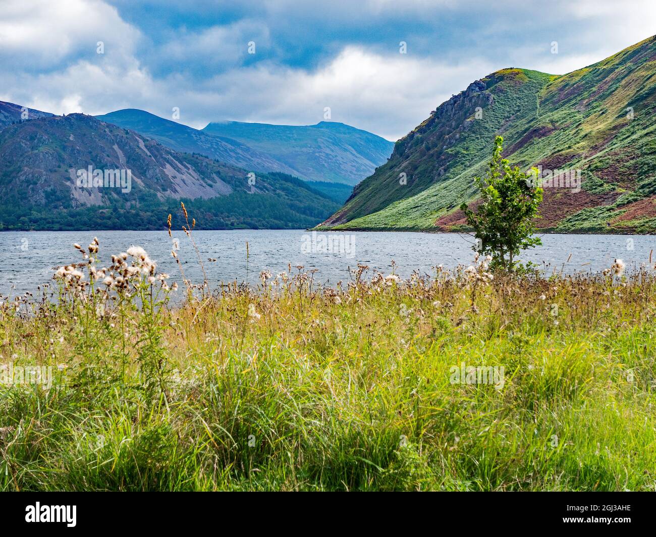 Ennerdale in the Lake District Stock Photo - Alamy