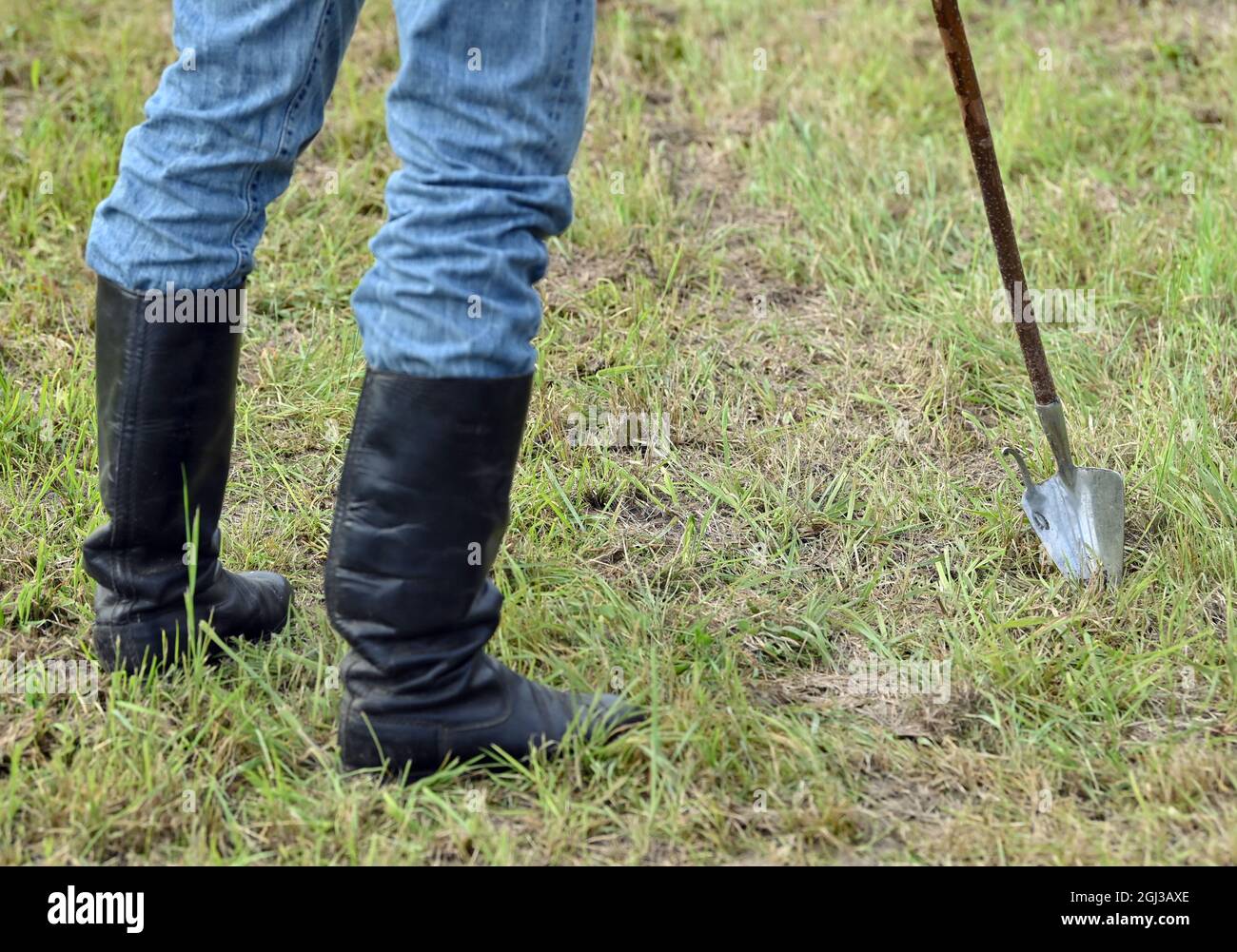 Herding stick hi-res stock photography and images - Alamy