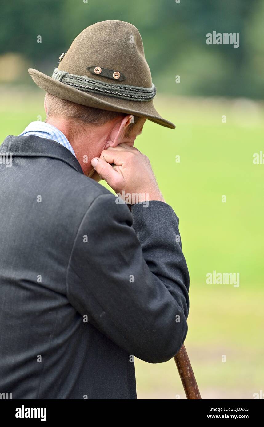 Herding stick hi-res stock photography and images - Alamy