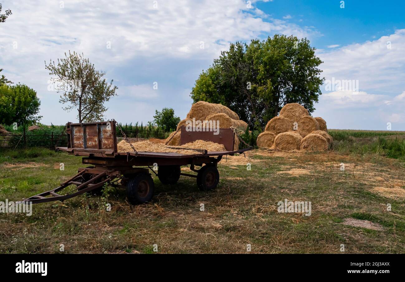 Agriculture farm field haystacks landscape. Haystacks harvest on ...