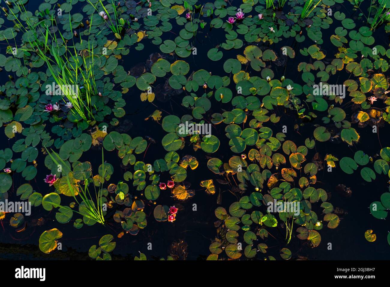 Blowing up pool hi-res stock photography and images - Alamy