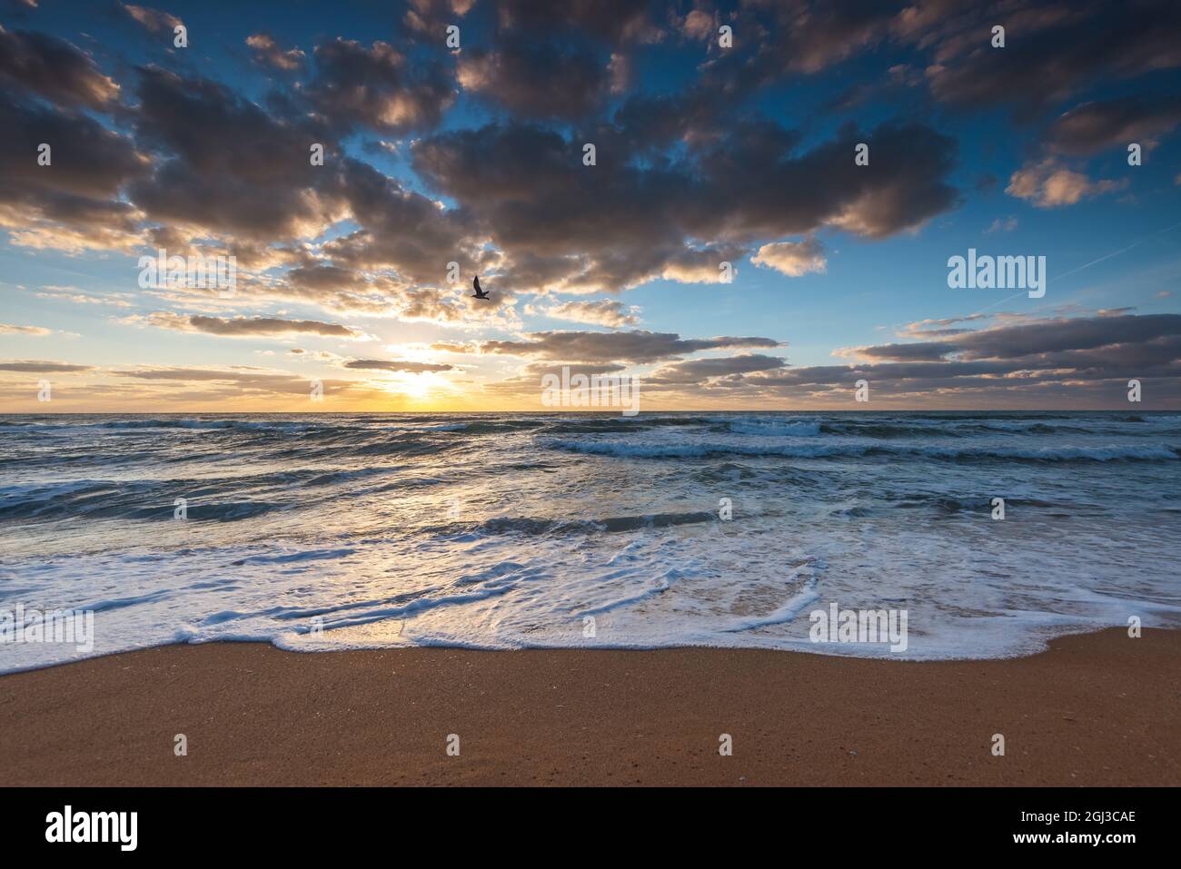 View sunset tropical bora island hi-res stock photography and images ...