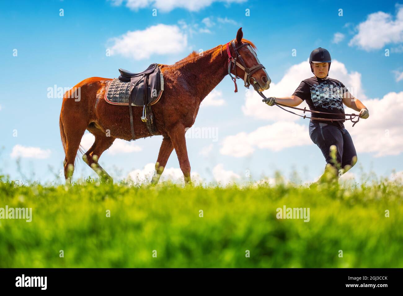 Arab boy horse hi-res stock photography and images - Alamy