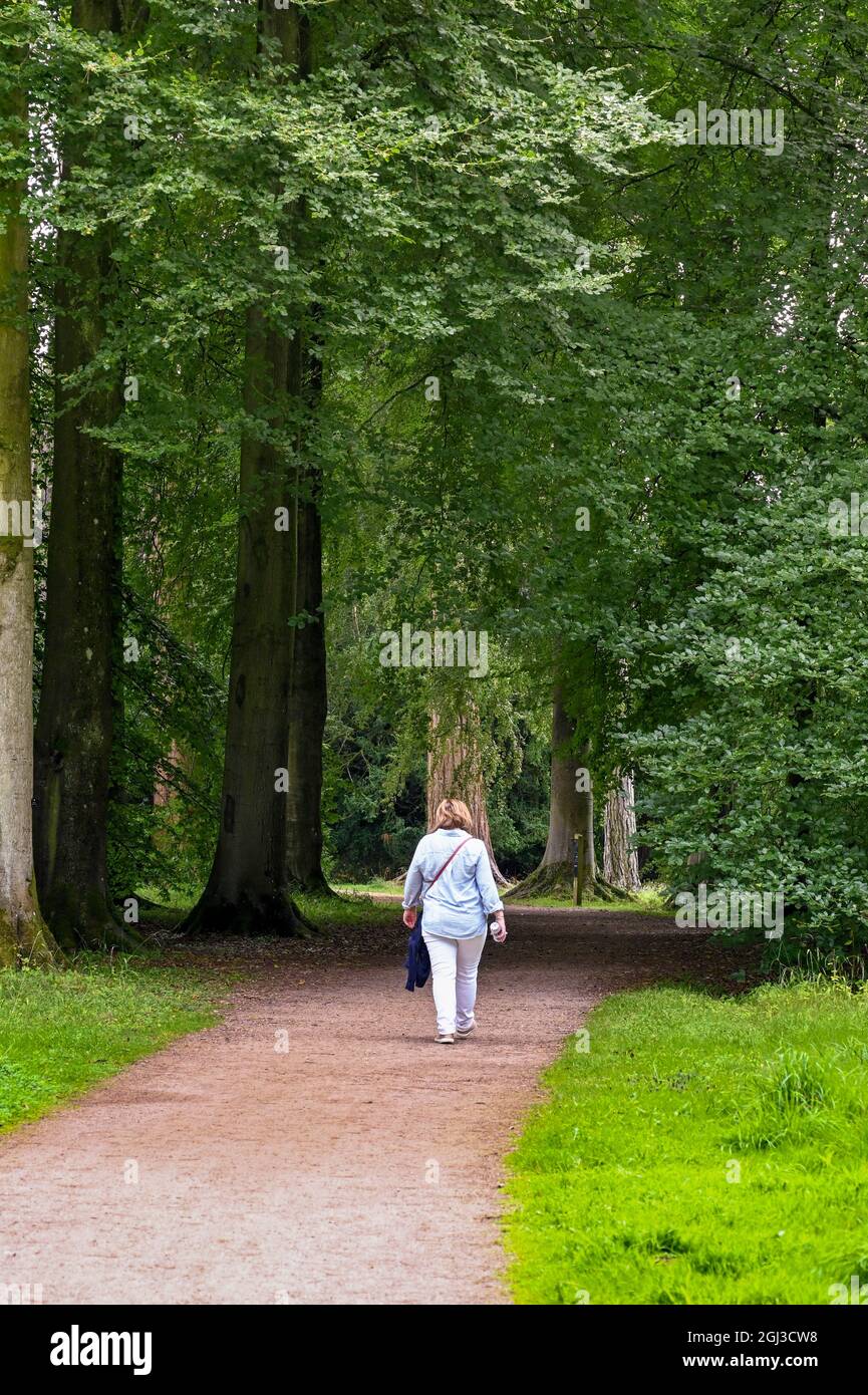 Stroud, England - August 2021: Person walking on a rough path through ...
