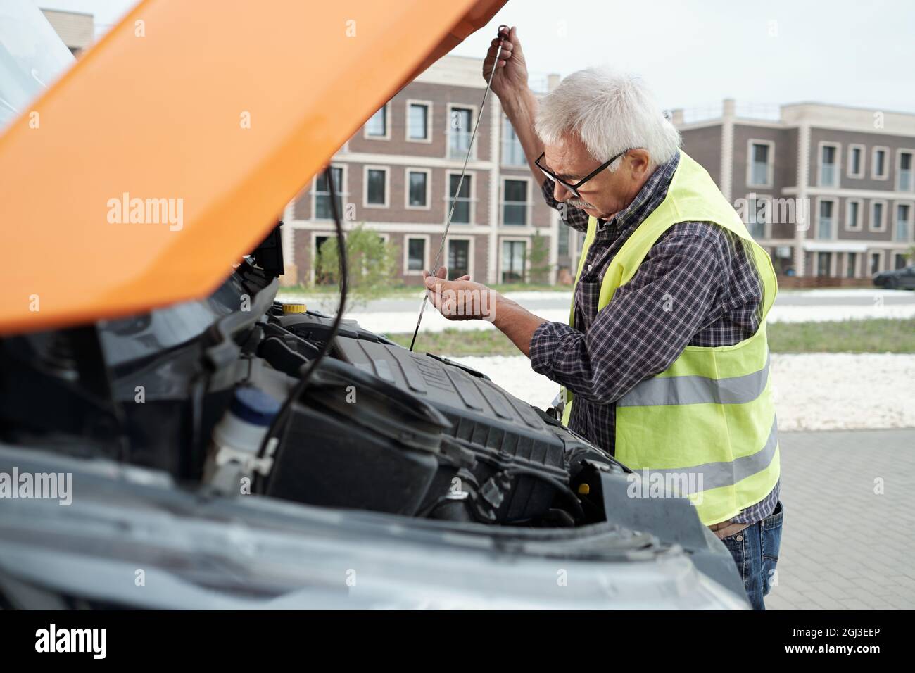 Serious senior bus driver with white hair checking oil level before ...