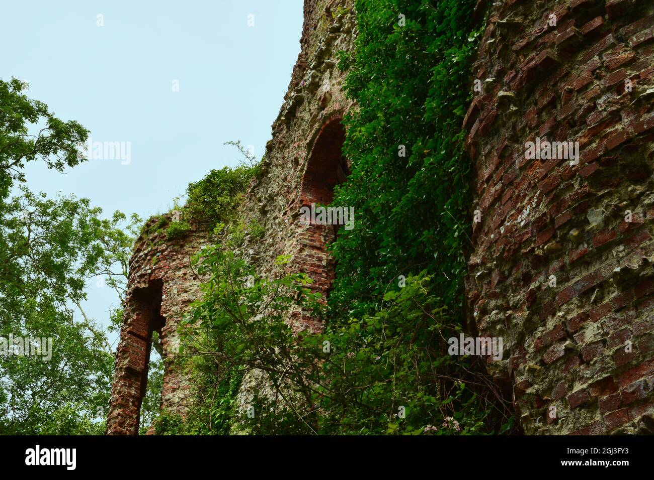 Picture of an Old Folly that has been left abandoned and has foliage ...