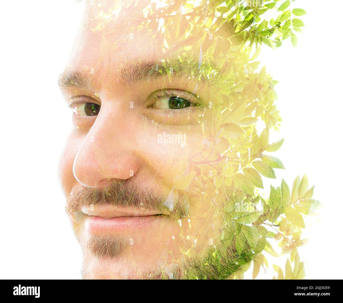 Double exposure man tree hi-res stock photography and images - Alamy