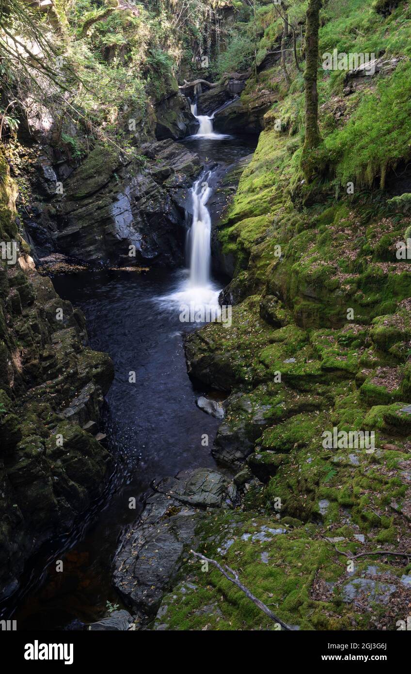Waterfall on the Cynfal river ravine Stock Photo - Alamy