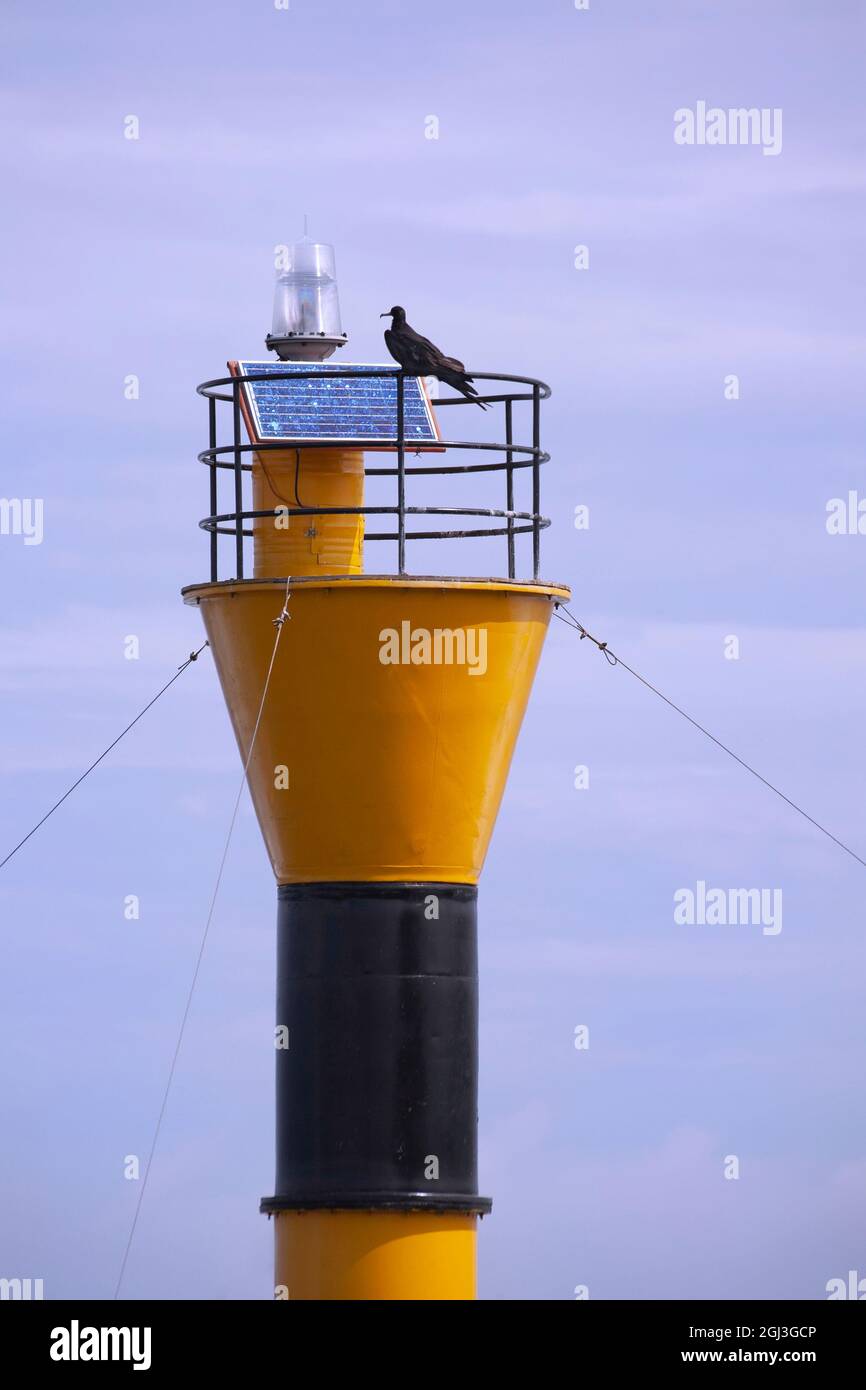 Frigatebird perched on top of yellow and black lighthouse powered by a ...