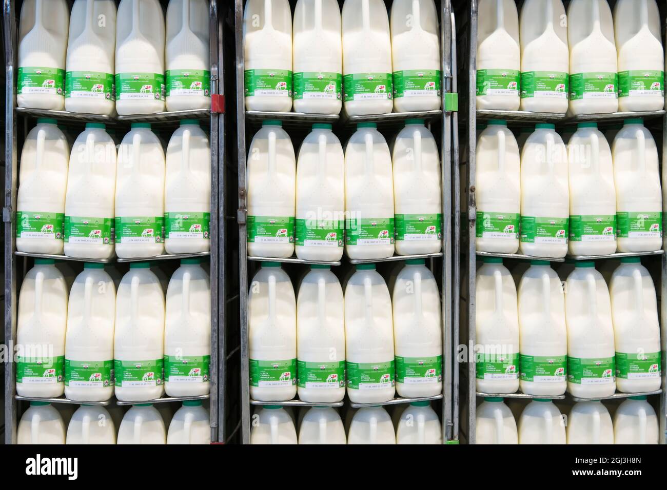Cartons of milk on sale in a supermarket in the UK Stock Photo - Alamy