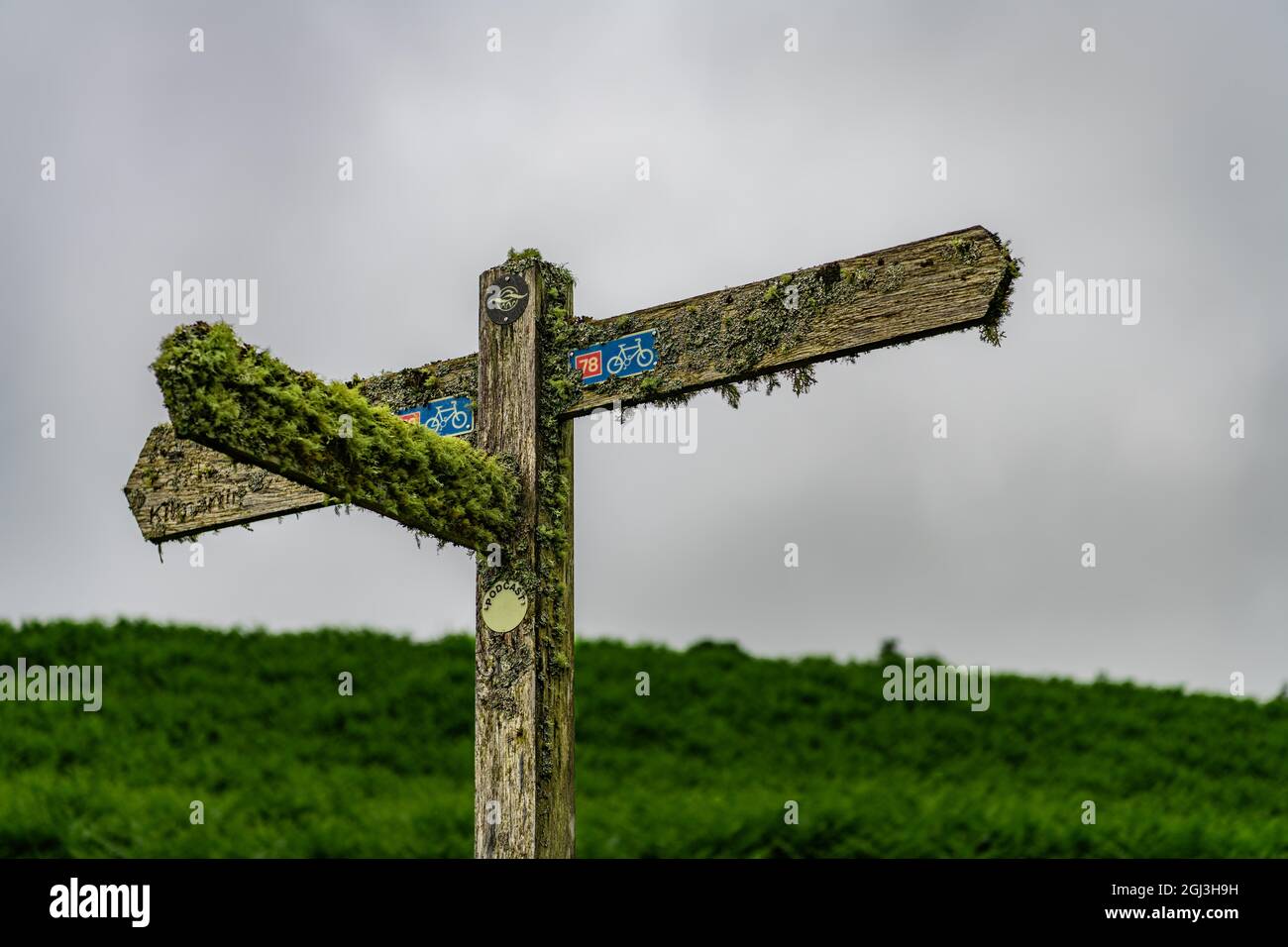 Lichen and Moss covered wooden signpost Stock Photo - Alamy