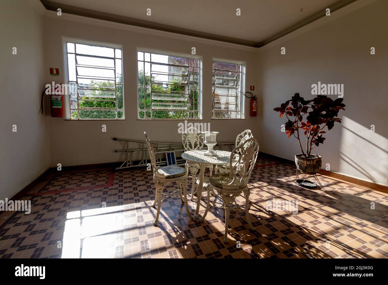 Beautiful cozy view of the room with windows, plant, table and chairs ...