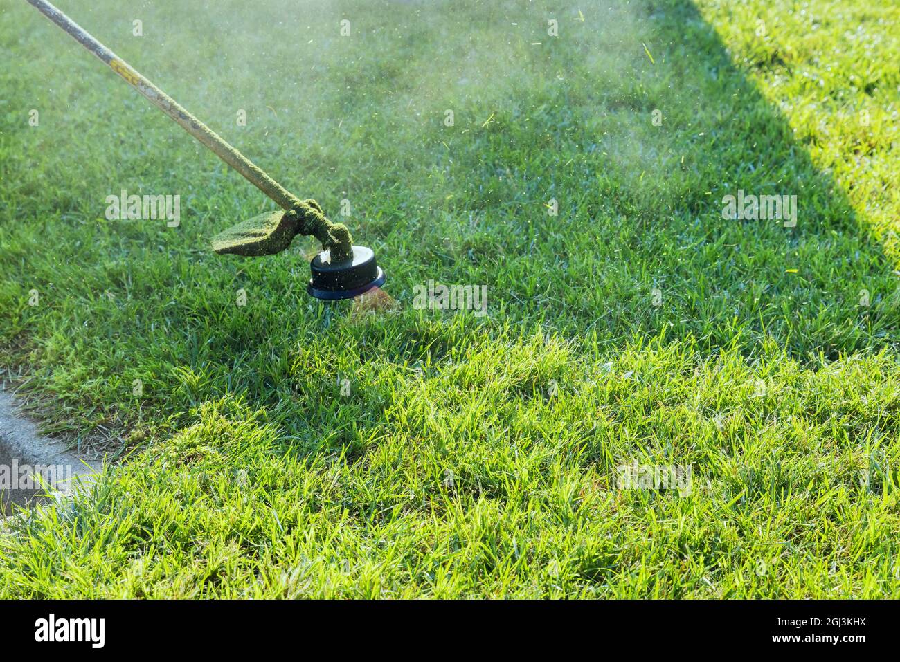 Closeup man hand using lawn trimmer mower cutting grass on green ...