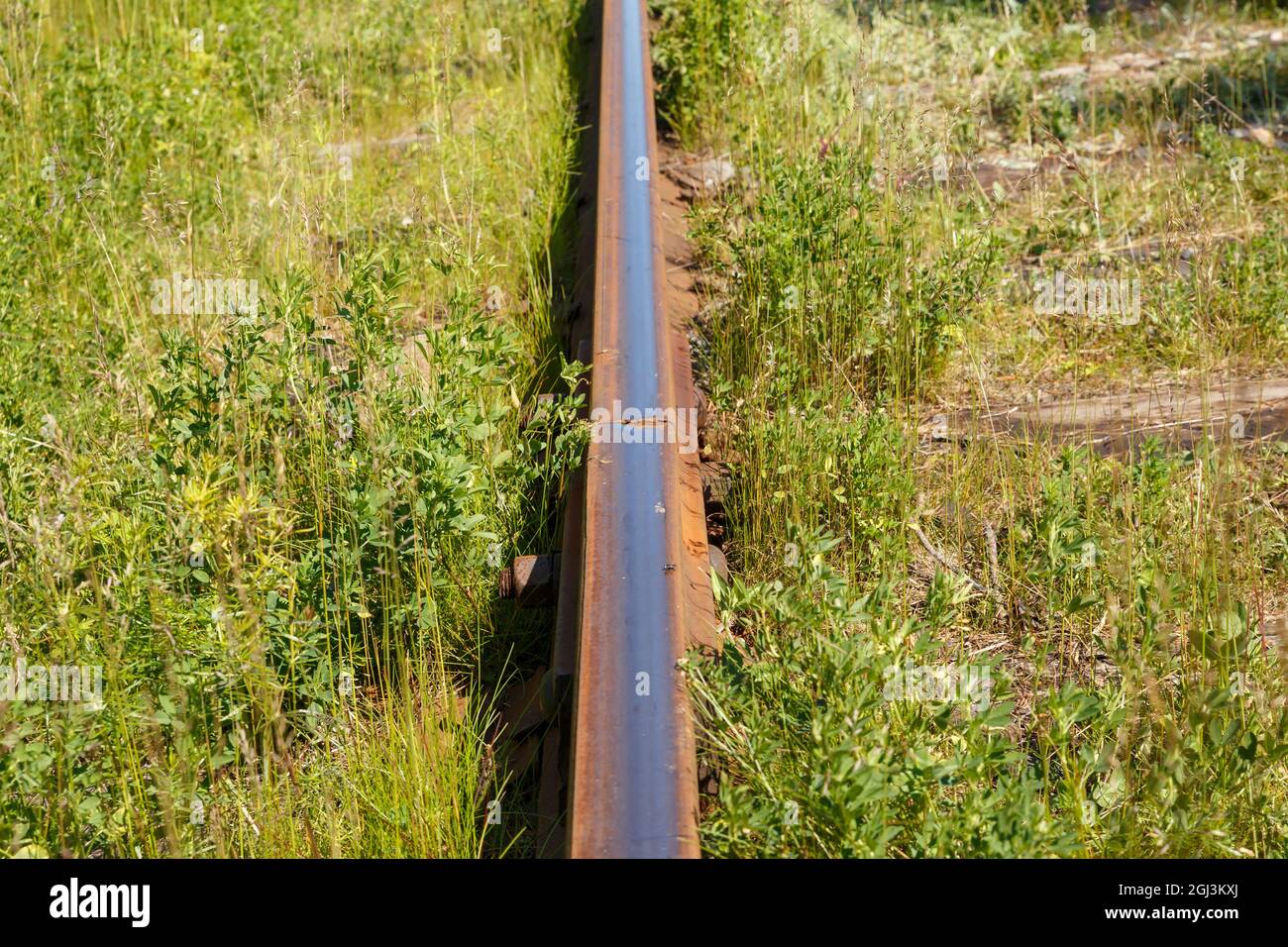 One iron rail in the grass. The old railway Stock Photo - Alamy