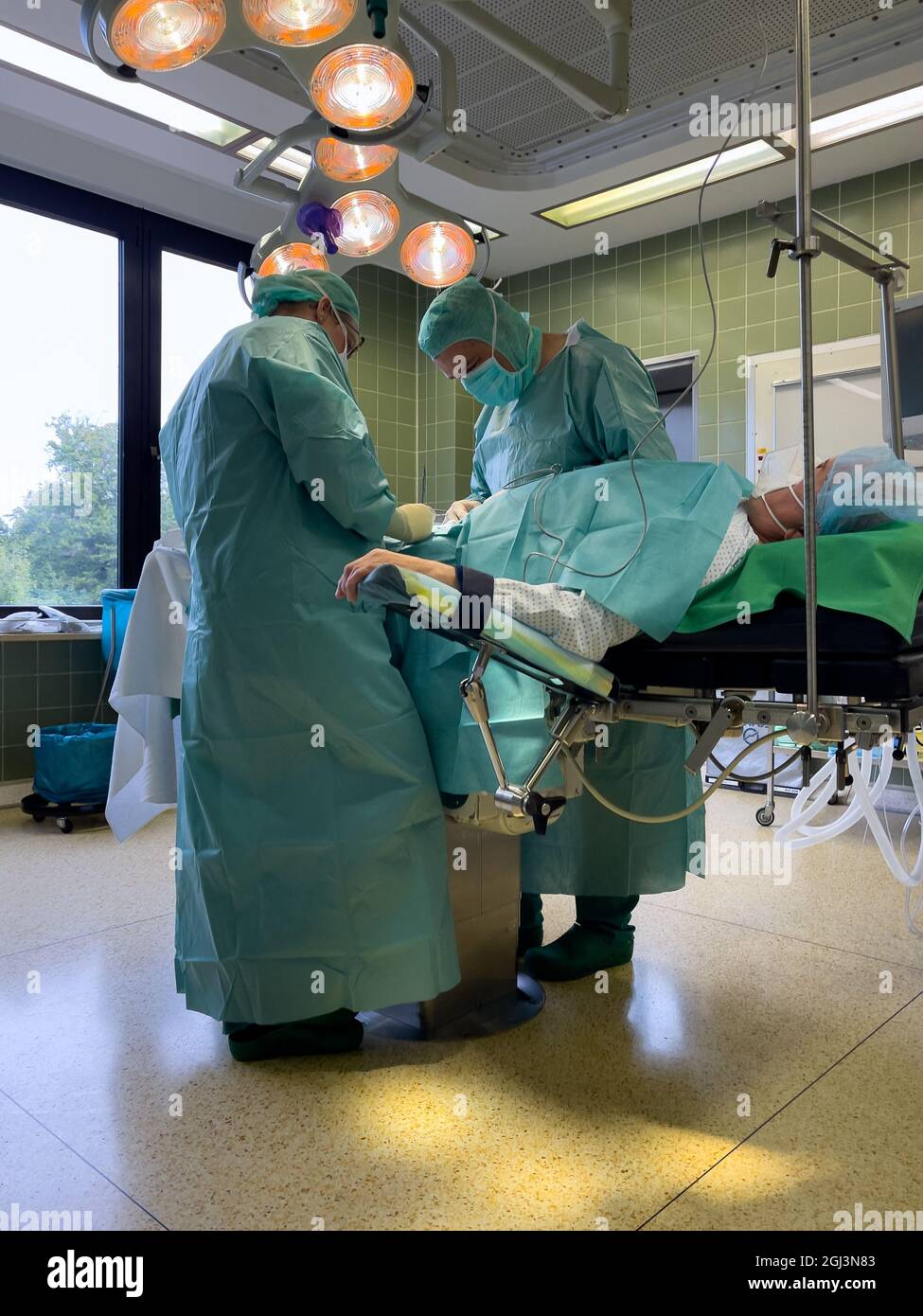 Urological organ hi-res stock photography and images - Alamy