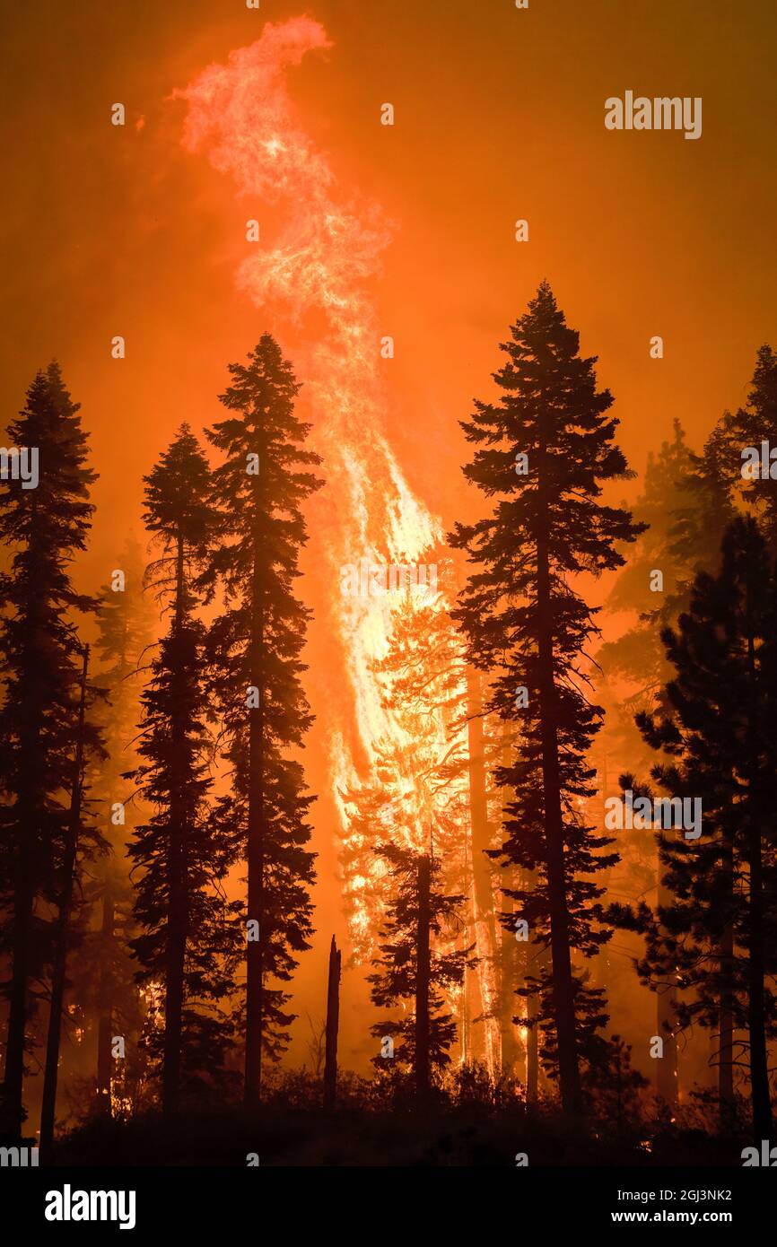 Devastating Caldor fire continues as crews fight through exhaustion to ...