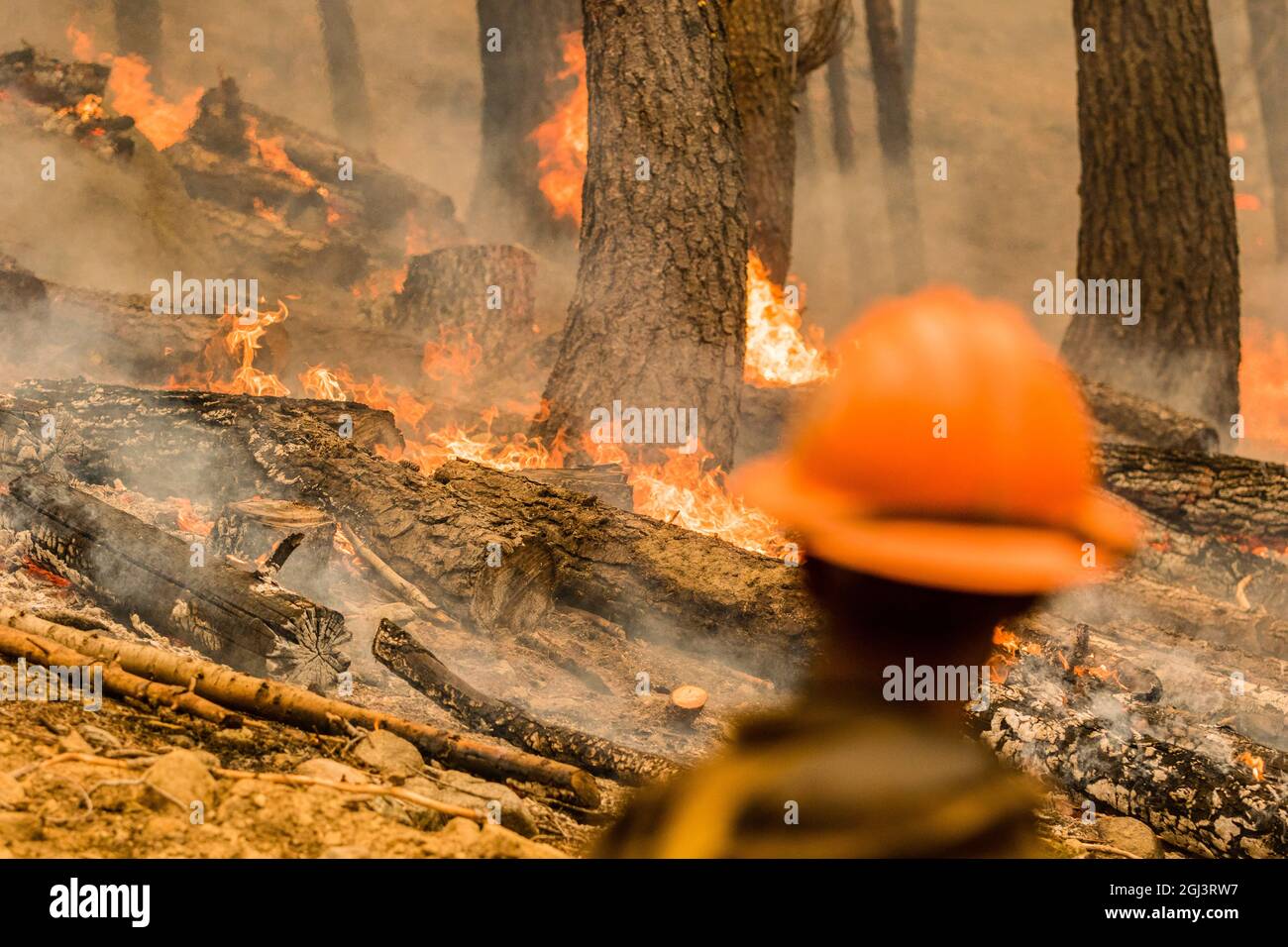 Devastating Caldor fire continues as crews fight through exhaustion to ...