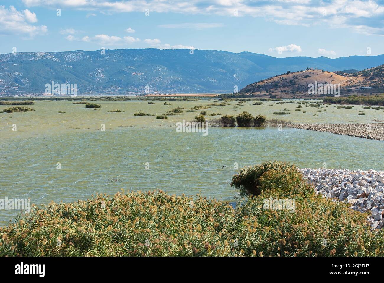 Lake Carla, one of the most important wetlands in Greece Stock Photo ...