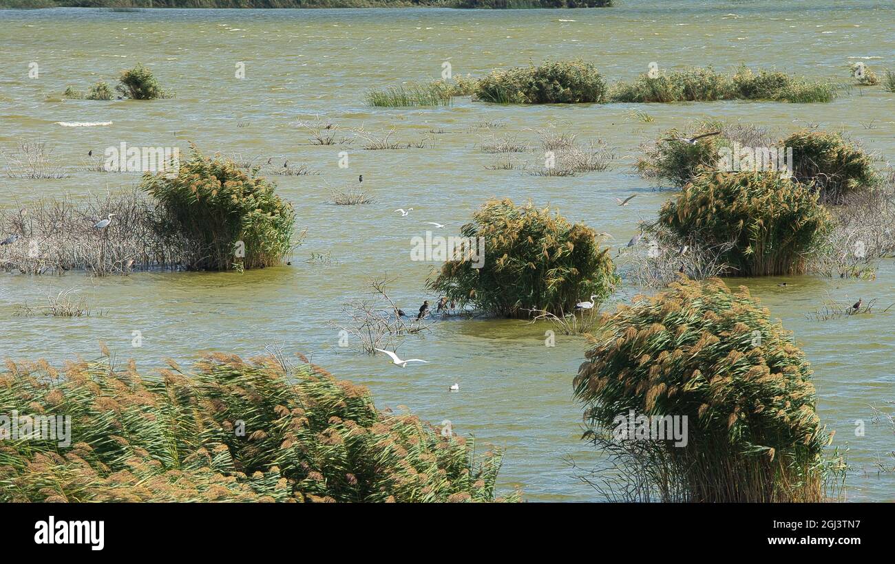 Lake Carla, one of the most important wetlands in Greece Stock Photo ...