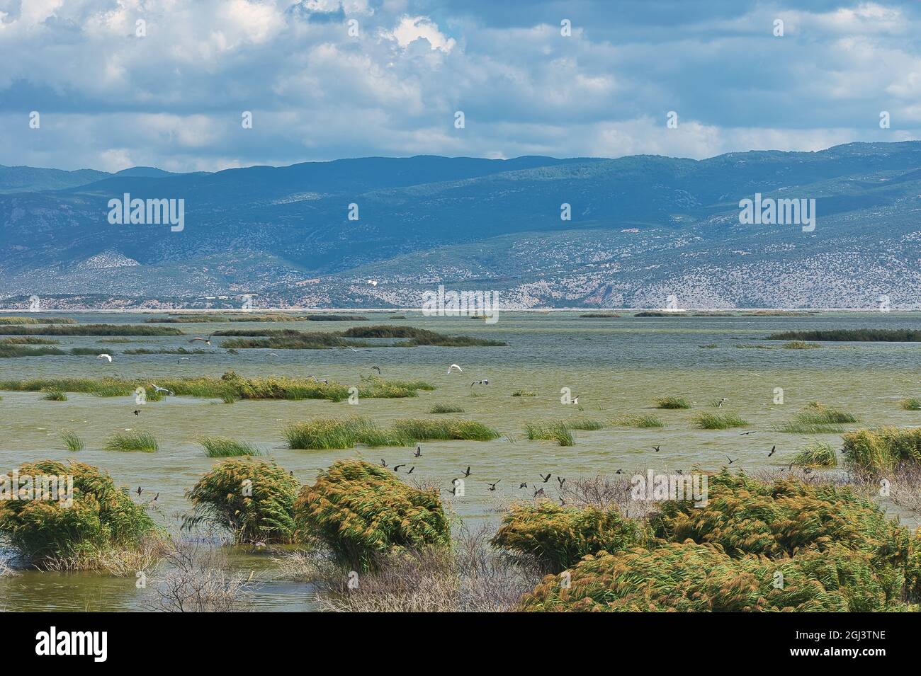 Lake Carla, one of the most important wetlands in Greece Stock Photo ...