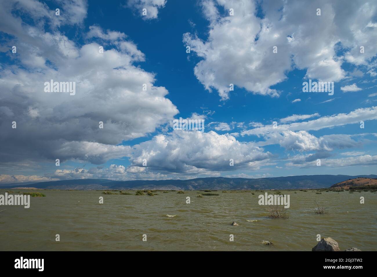 Lake Carla, one of the most important wetlands in Greece Stock Photo ...