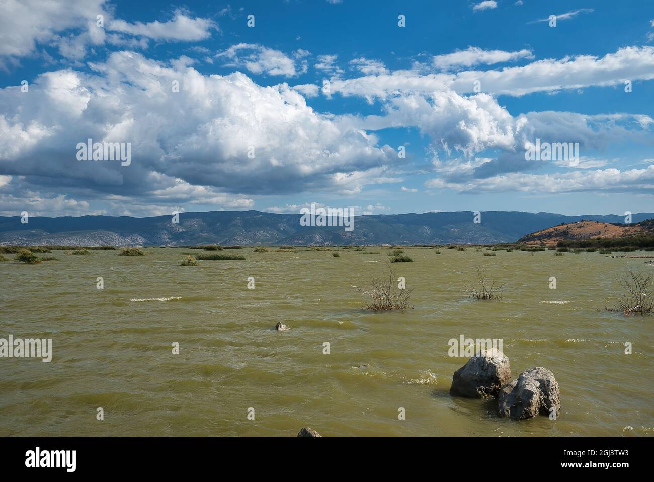 Lake Carla, one of the most important wetlands in Greece Stock Photo ...