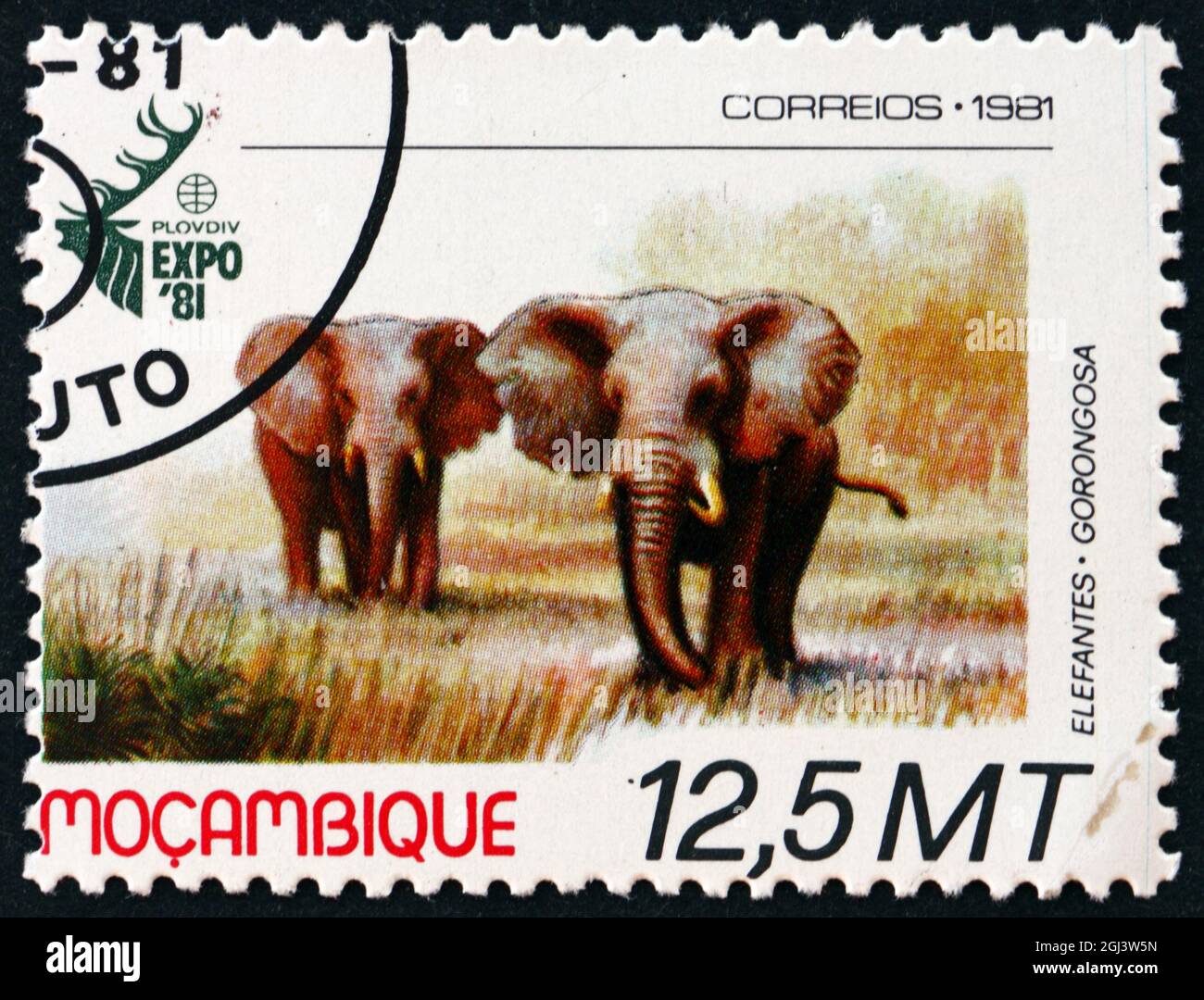 Bulgaria mozambique hi-res stock photography and images - Alamy