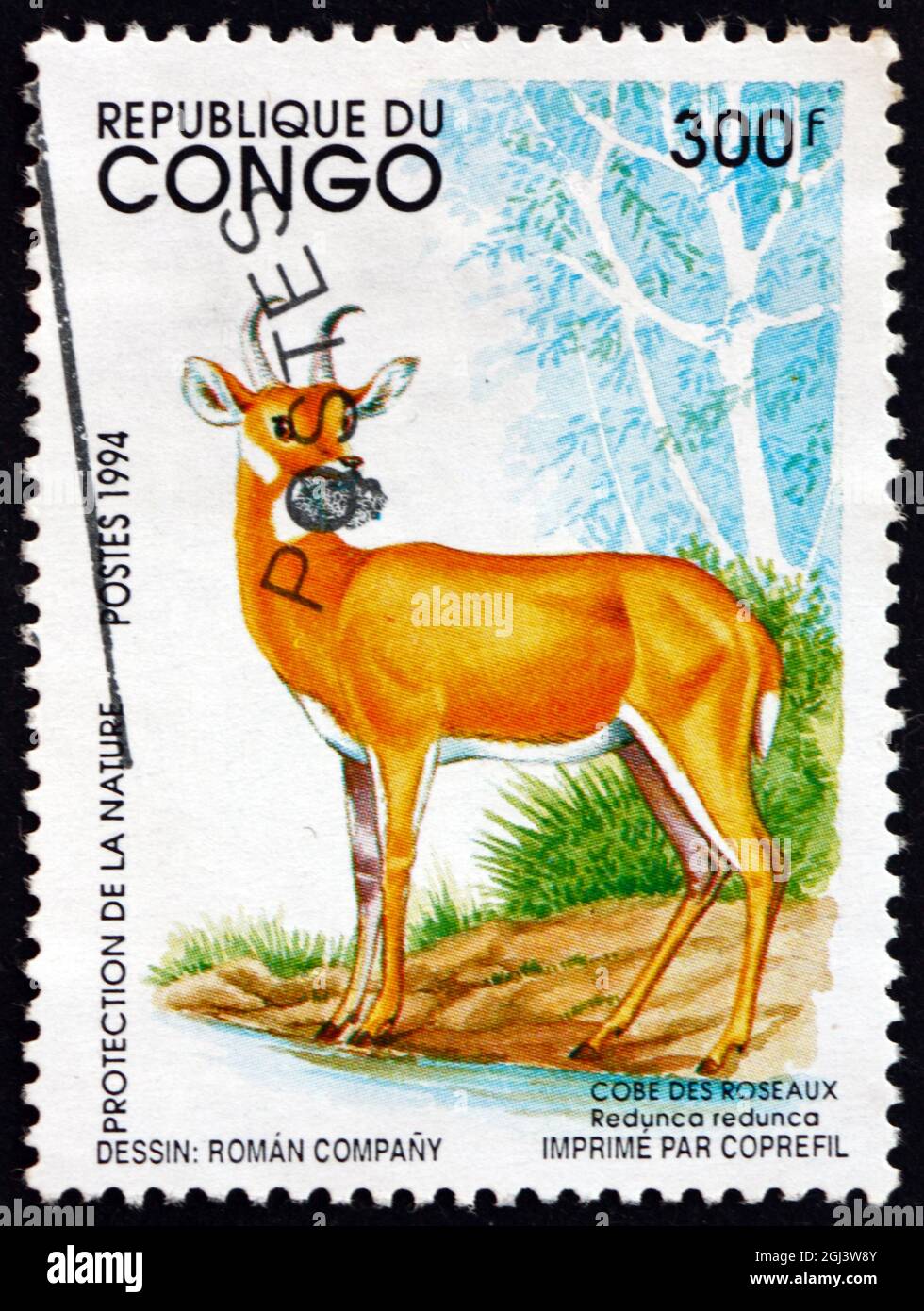 CONGO - CIRCA 1994: a stamp printed in Congo shows Bohor Reedbuck ...