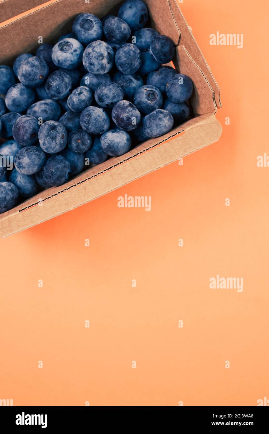Top view fresh blueberry inside a paper box isolated on orange ...