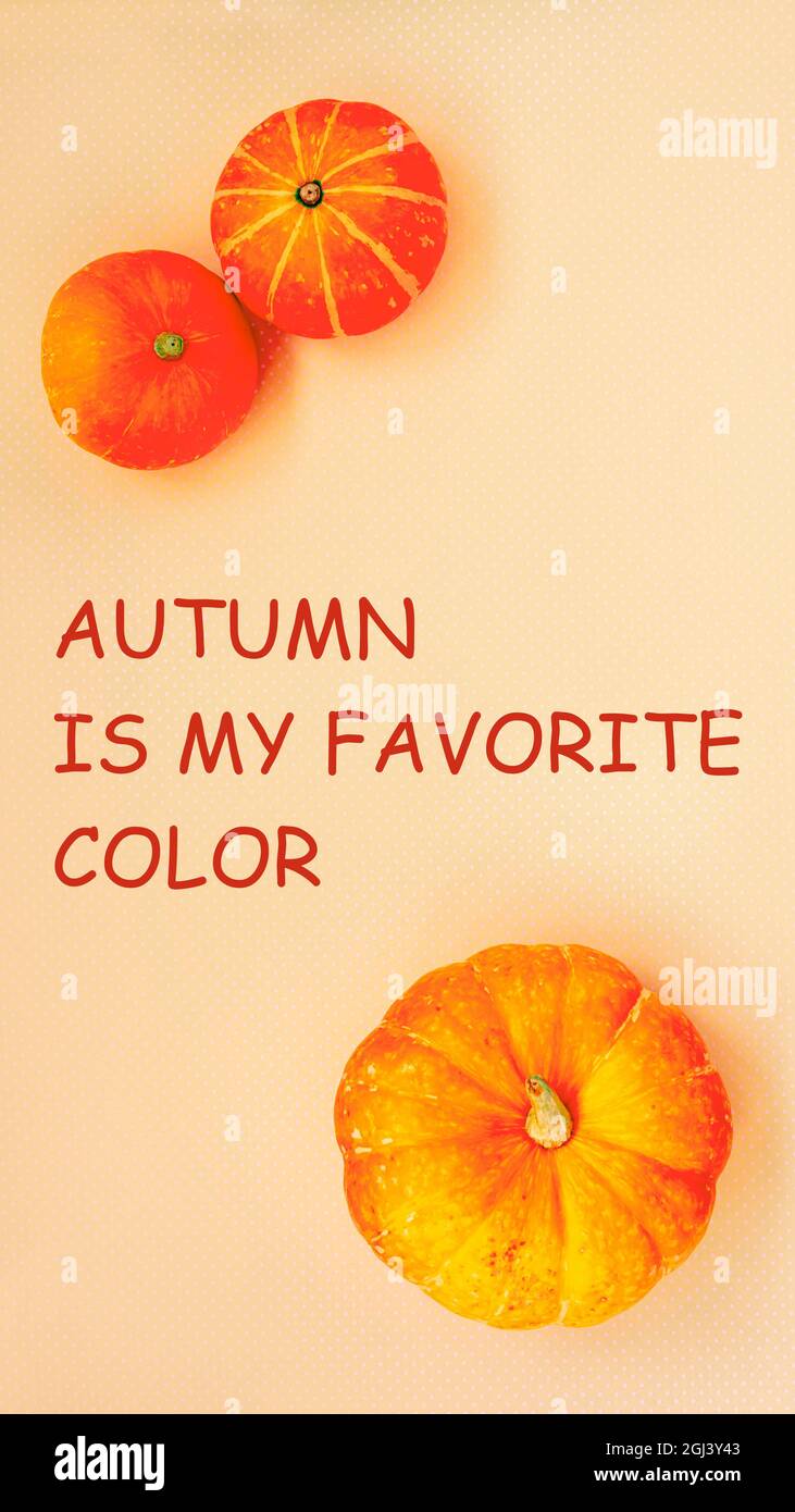 Orange pumpkins and text, autumn is my favorite color Stock Photo - Alamy