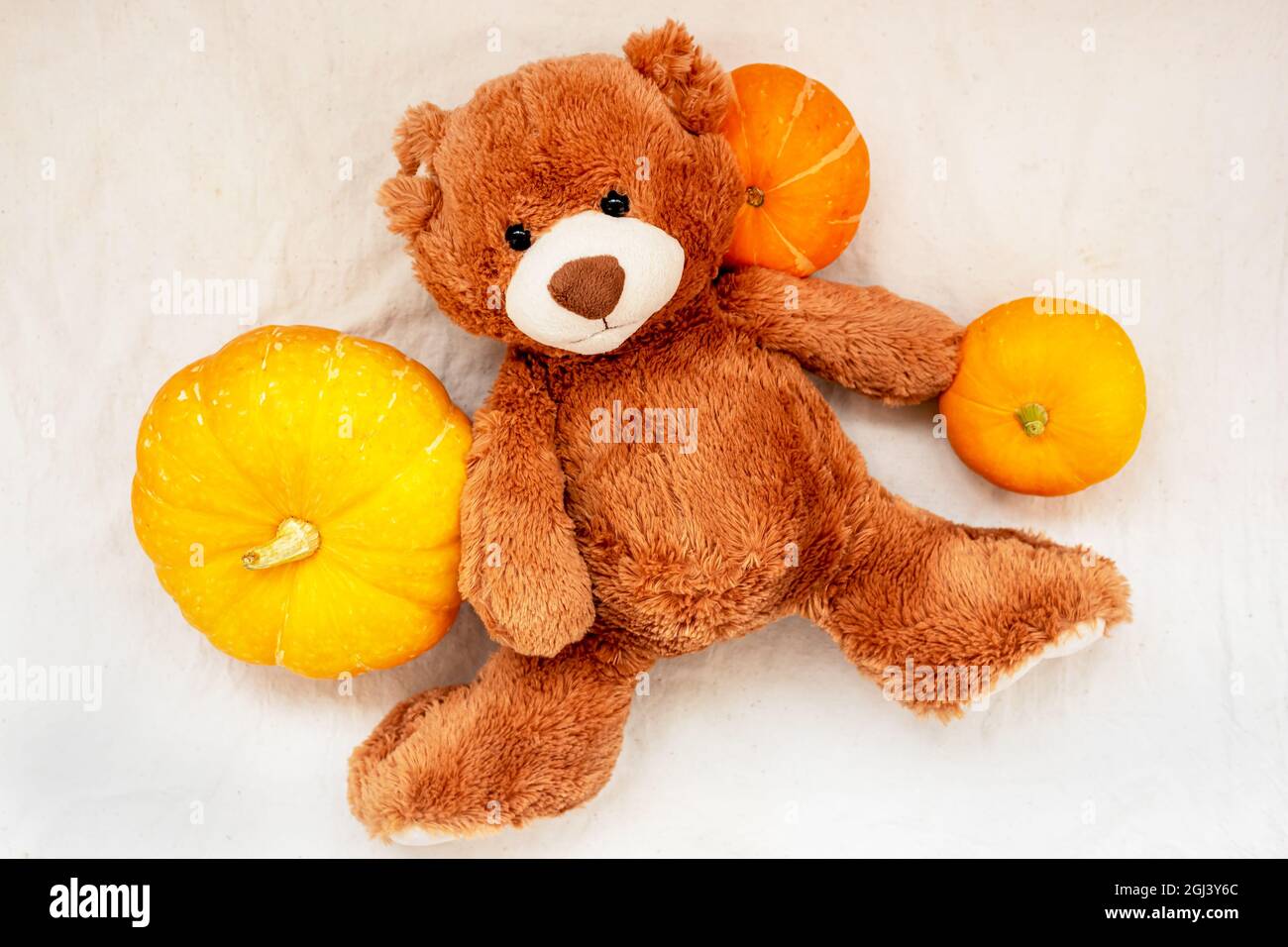 Soft toy teddy bear with pumpkin on sackcloth fabric texture Stock ...
