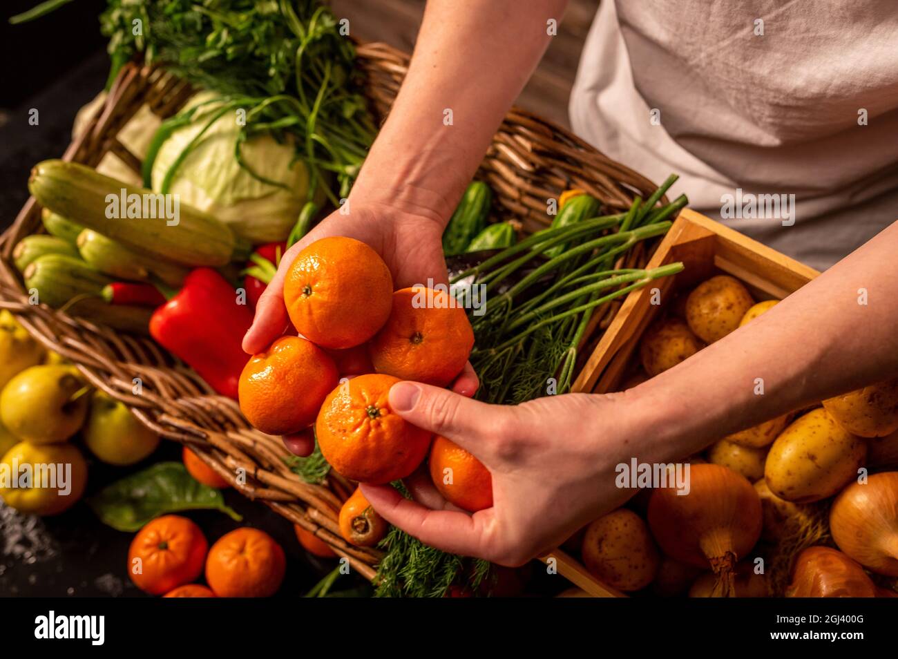 Organic vegetables. Farmers hands with freshly picked apples. Fresh ...