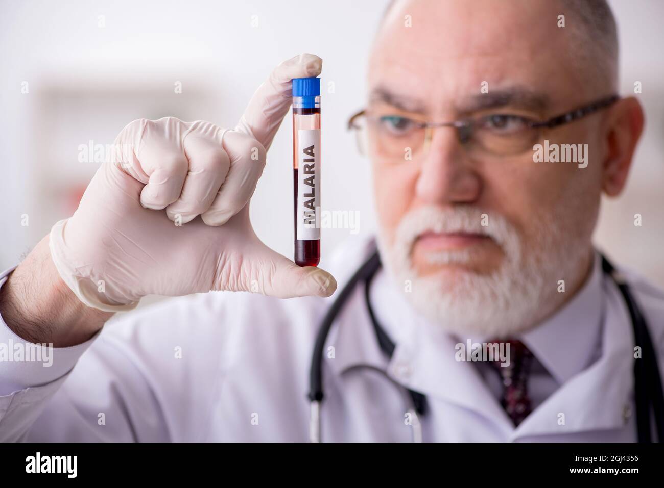 Old doctor hematologist working in the clinic Stock Photo - Alamy