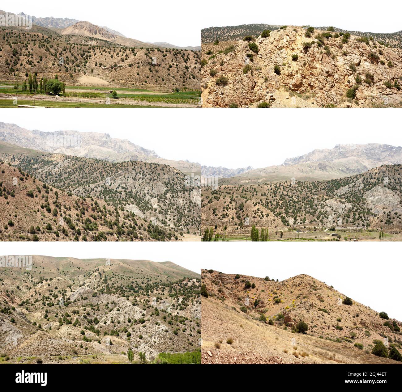 the collection of Mountains with some trees isolated on white ...