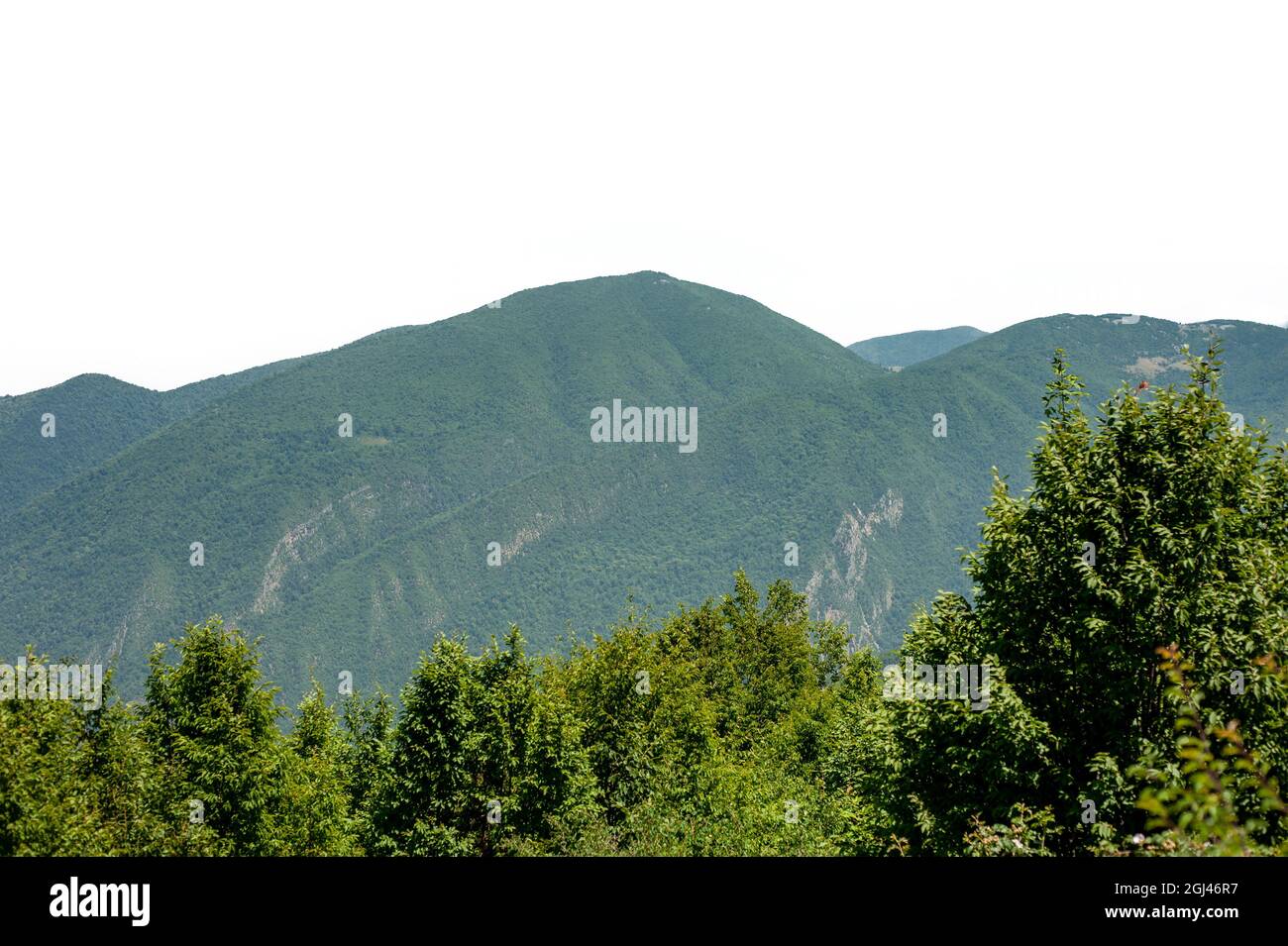 Mountains with oak trees or forest isolated on white background ...